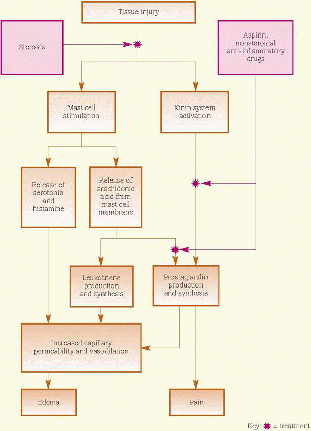 Infection | Basicmedical Key