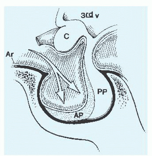 Pituitary and Sellar Region | Basicmedical Key