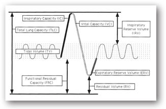 Pulmonary Function and Related Tests | Basicmedical Key