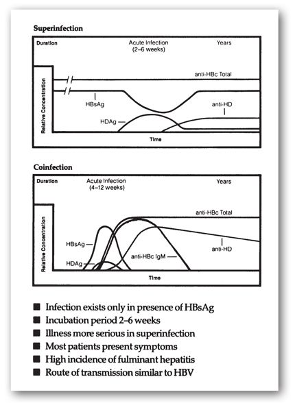 Liver and Gastroenterology Tests | Basicmedical Key