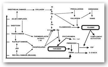 Hematology: Blood Coagulation Tests | Basicmedical Key