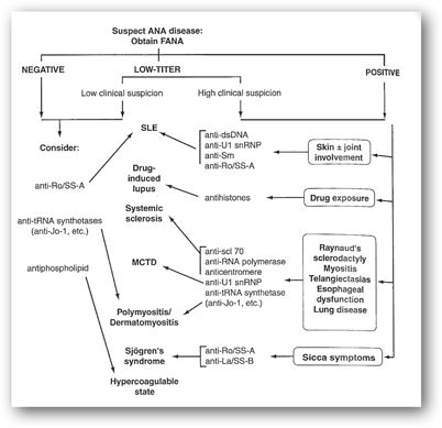 Rheumatic Diseases | Basicmedical Key