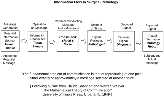 The Landscape of Error in Surgical Pathology | Basicmedical Key
