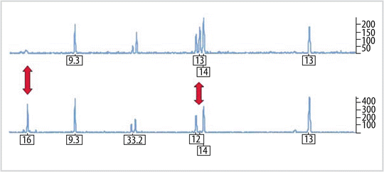 Forensic Dna Typing Basicmedical Key 5243