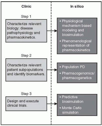 Computer Simulations and Modeling | Basicmedical Key