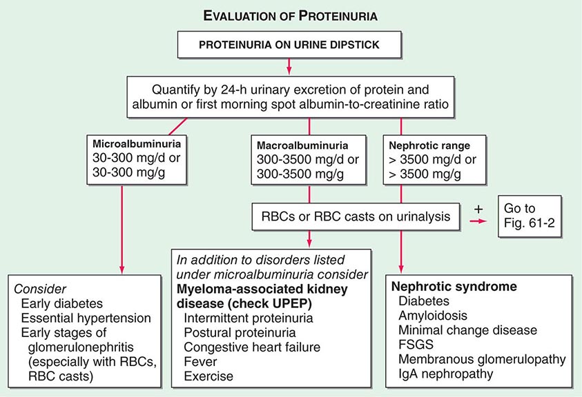 Diarrhea and Constipation | Basicmedical Key