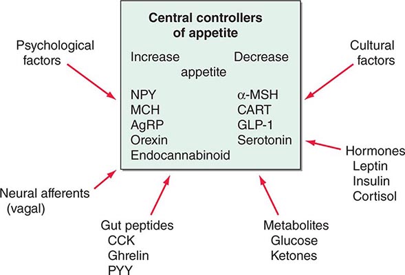 Biology of Obesity | Basicmedical Key