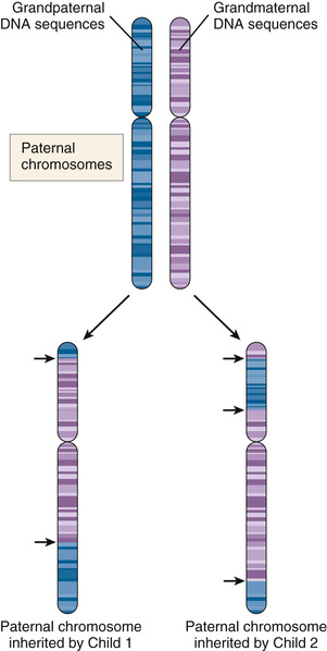 of the Genome | Basicmedical Key