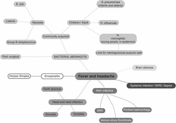 Global neurological examination | Basicmedical Key