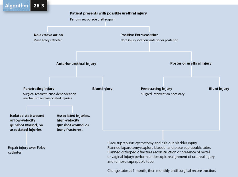 Genitourinary Trauma | Basicmedical Key