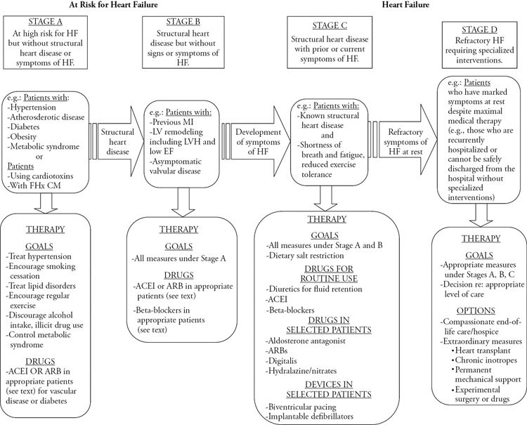 Cardiology Summary | Basicmedical Key
