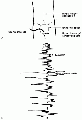The Abdomen | Basicmedical Key
