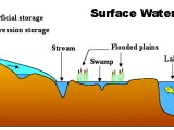 Water Surface Science