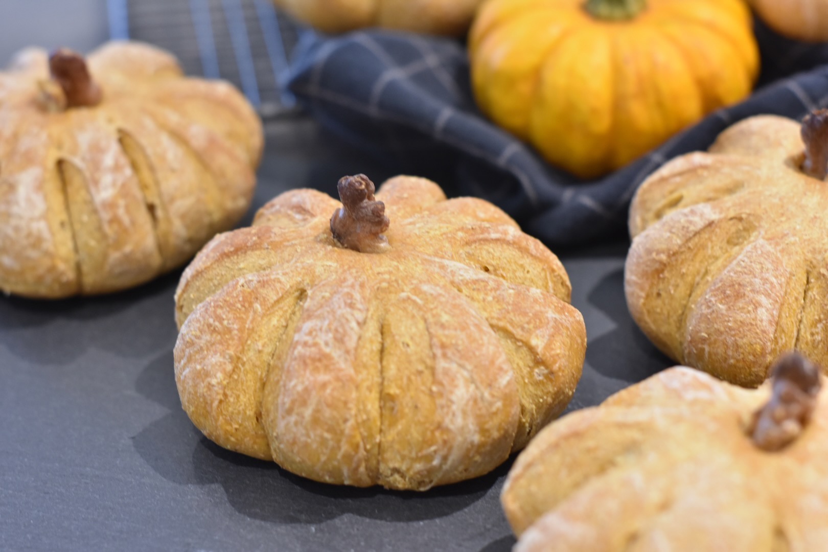 BREAD PORTFOLIO • baste cut fold