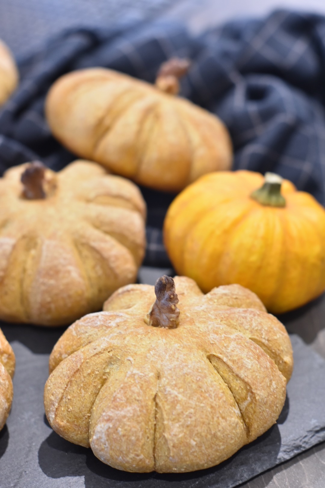 BREAD PORTFOLIO • baste cut fold