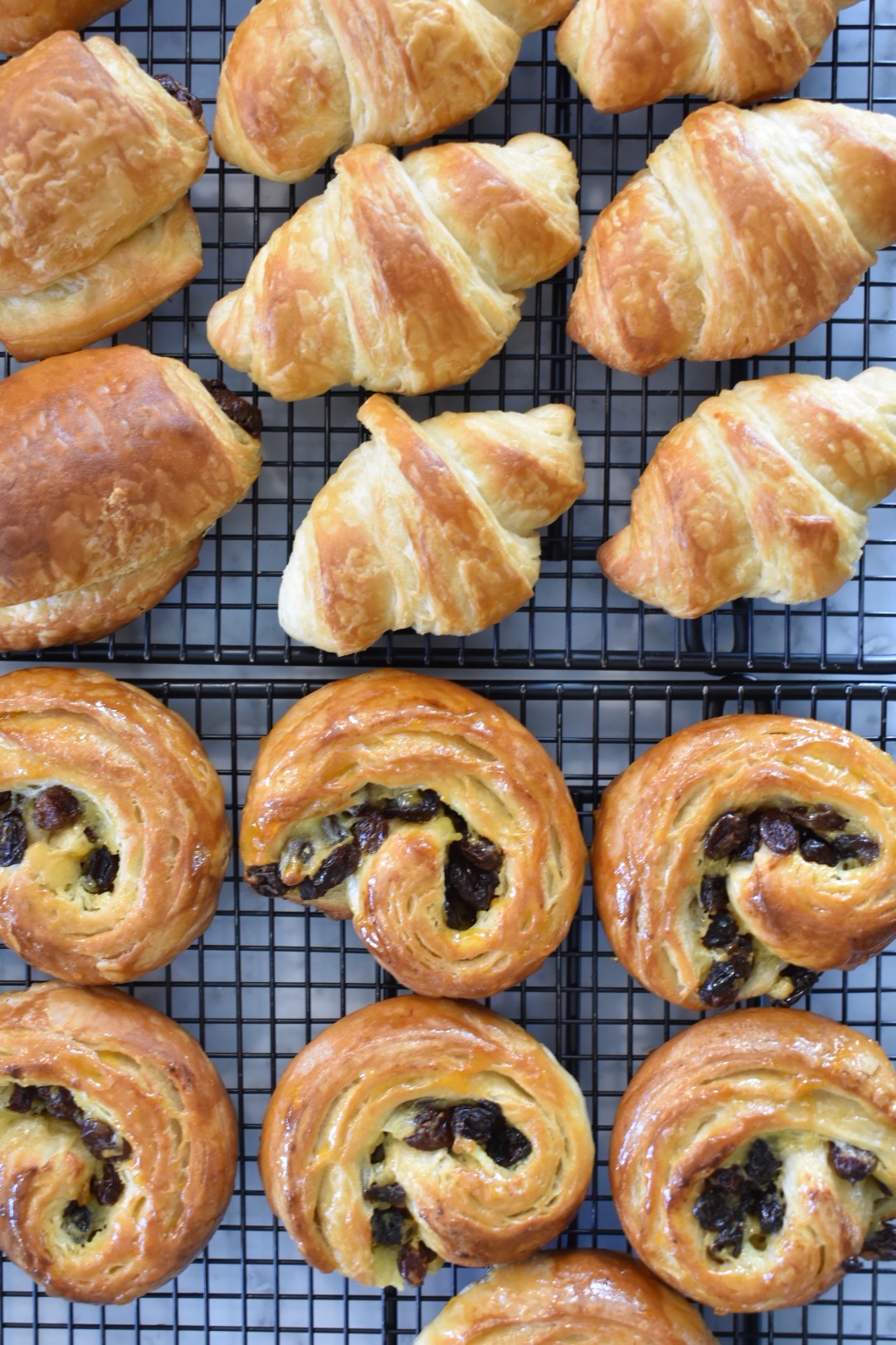 BREAD PORTFOLIO • baste cut fold