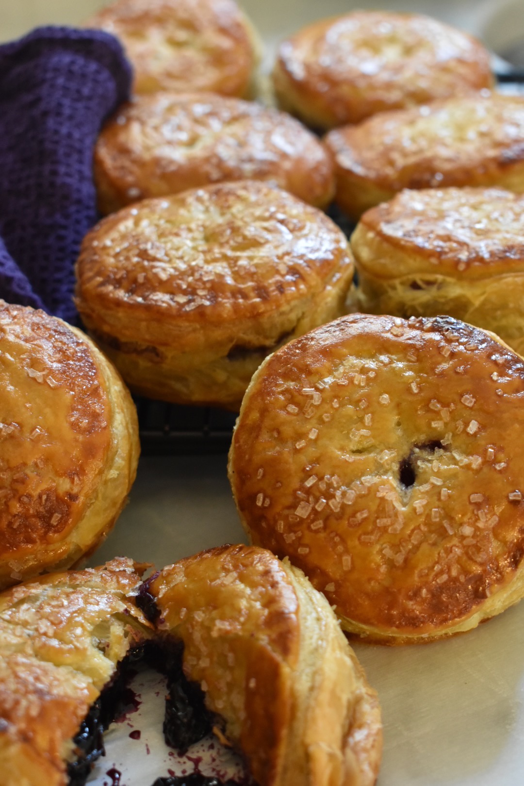 BREAD PORTFOLIO • baste cut fold