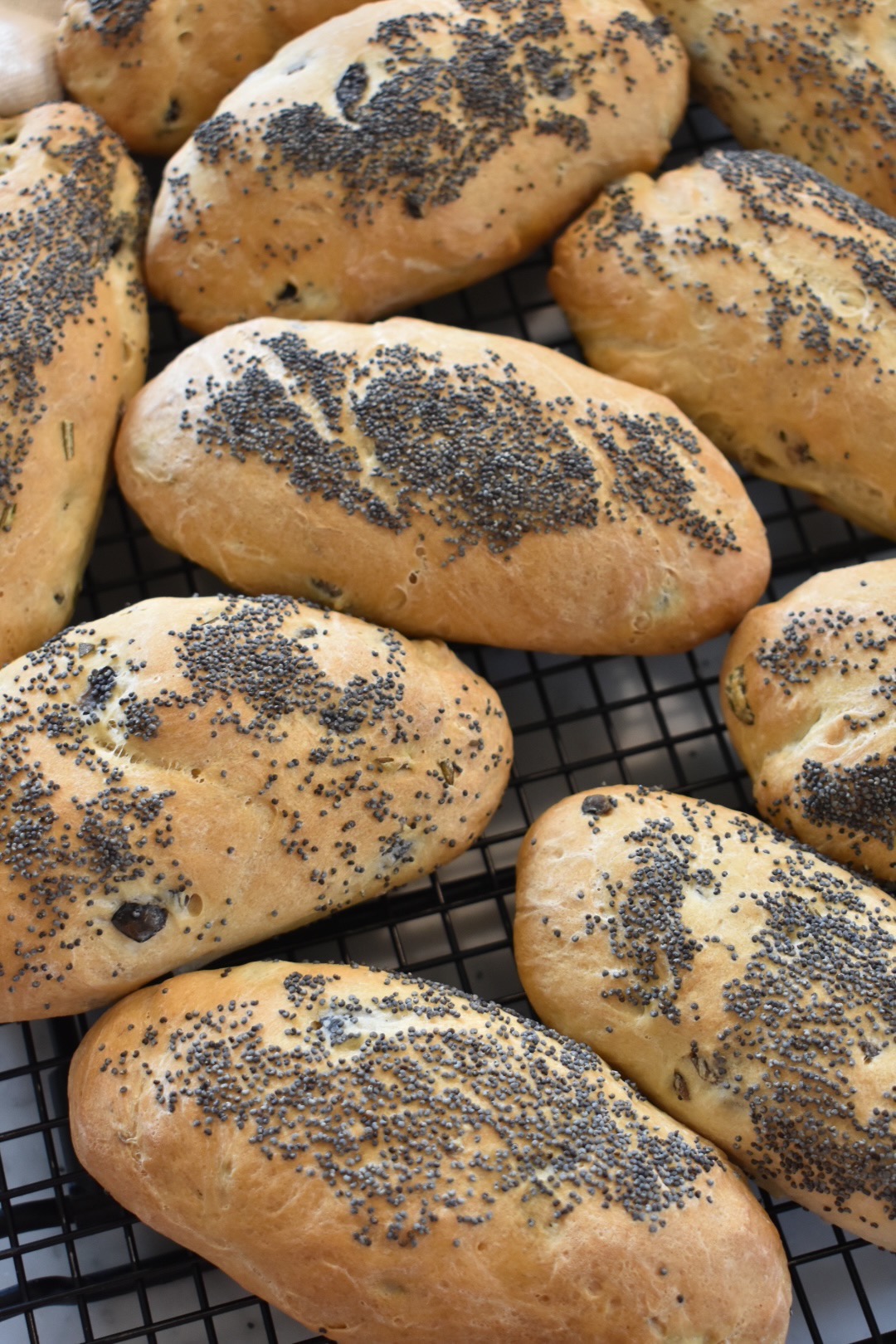 BREAD PORTFOLIO • baste cut fold