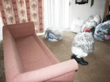 Bed Bug Preparation Check List Bed Bugs Lynn Ma Bed Bugs Salem Ma