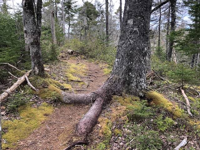 7 of 75 – Indian Path Common – BC Becky