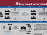 Understanding The Congressional Appropriations Process Breast Cancer