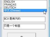 Wince Programming