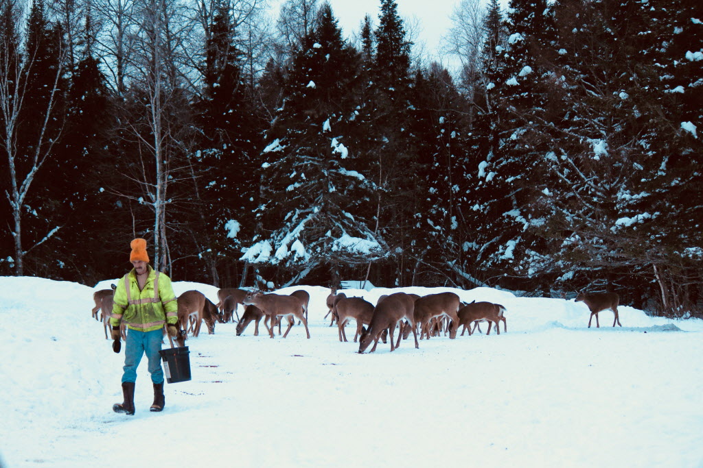 Despite potential negative consequences, many still try to ‘help’ by ...