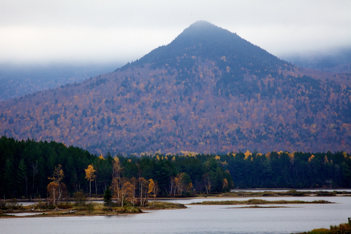 More than 12K forest acres to be protected in Oxford County