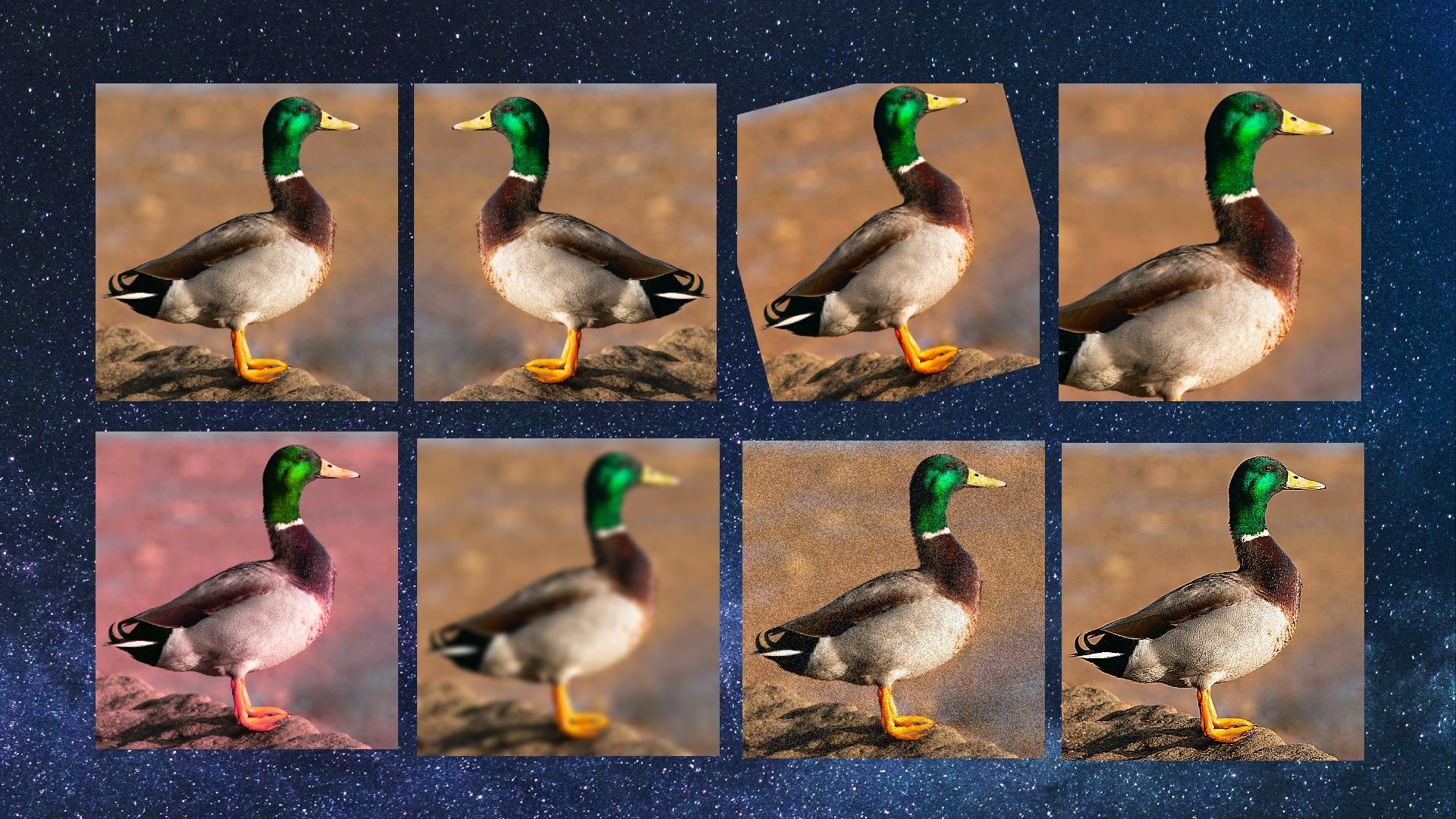 What is data augmentation? - TechTalks