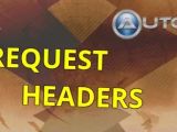 Setting Request Headers With Autoit Beamtic