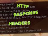 Http Response Headers Beamtic