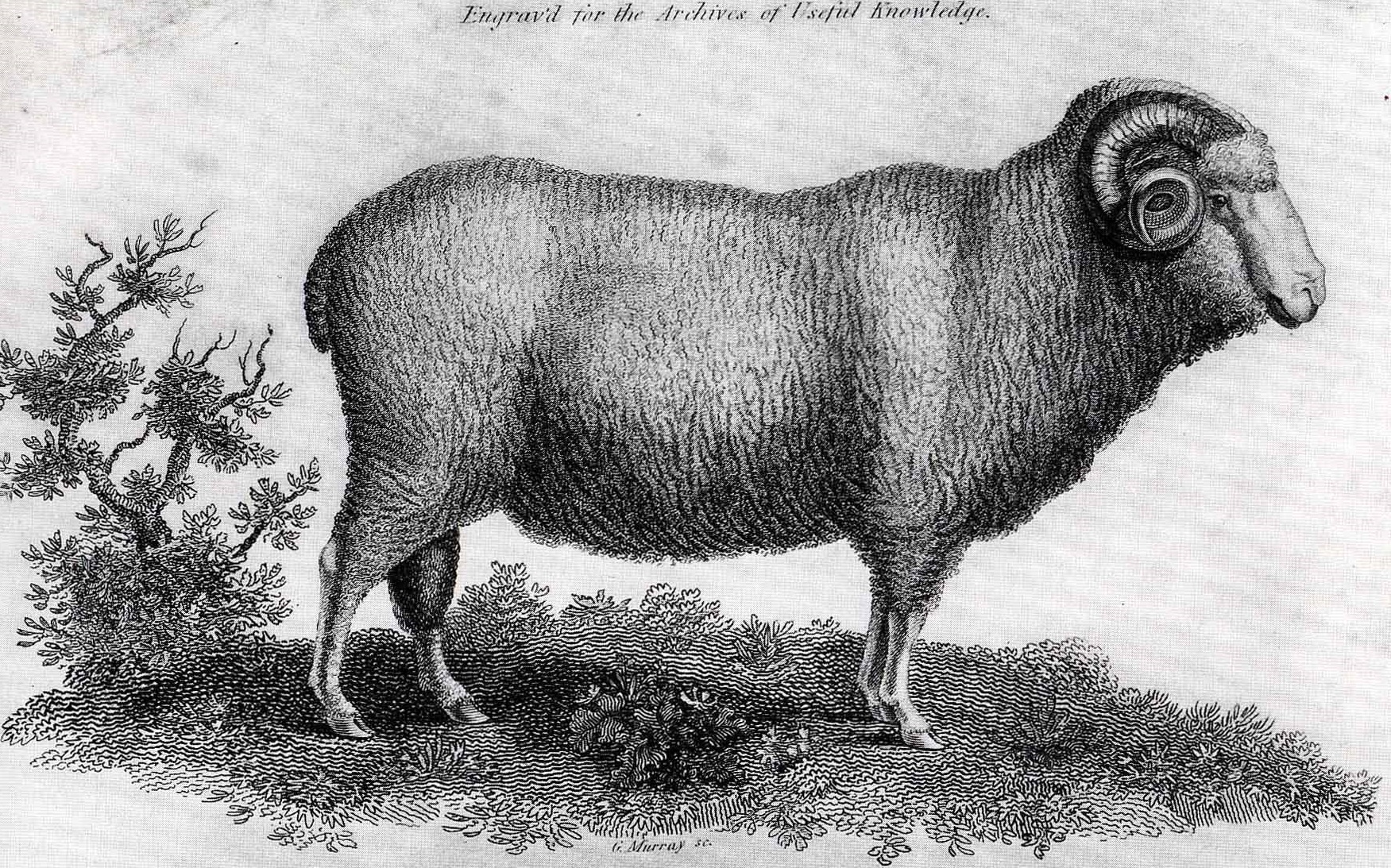 Hex, Session II – 5th Edition Actual Play – “The Ultimate Contagion Pt ...