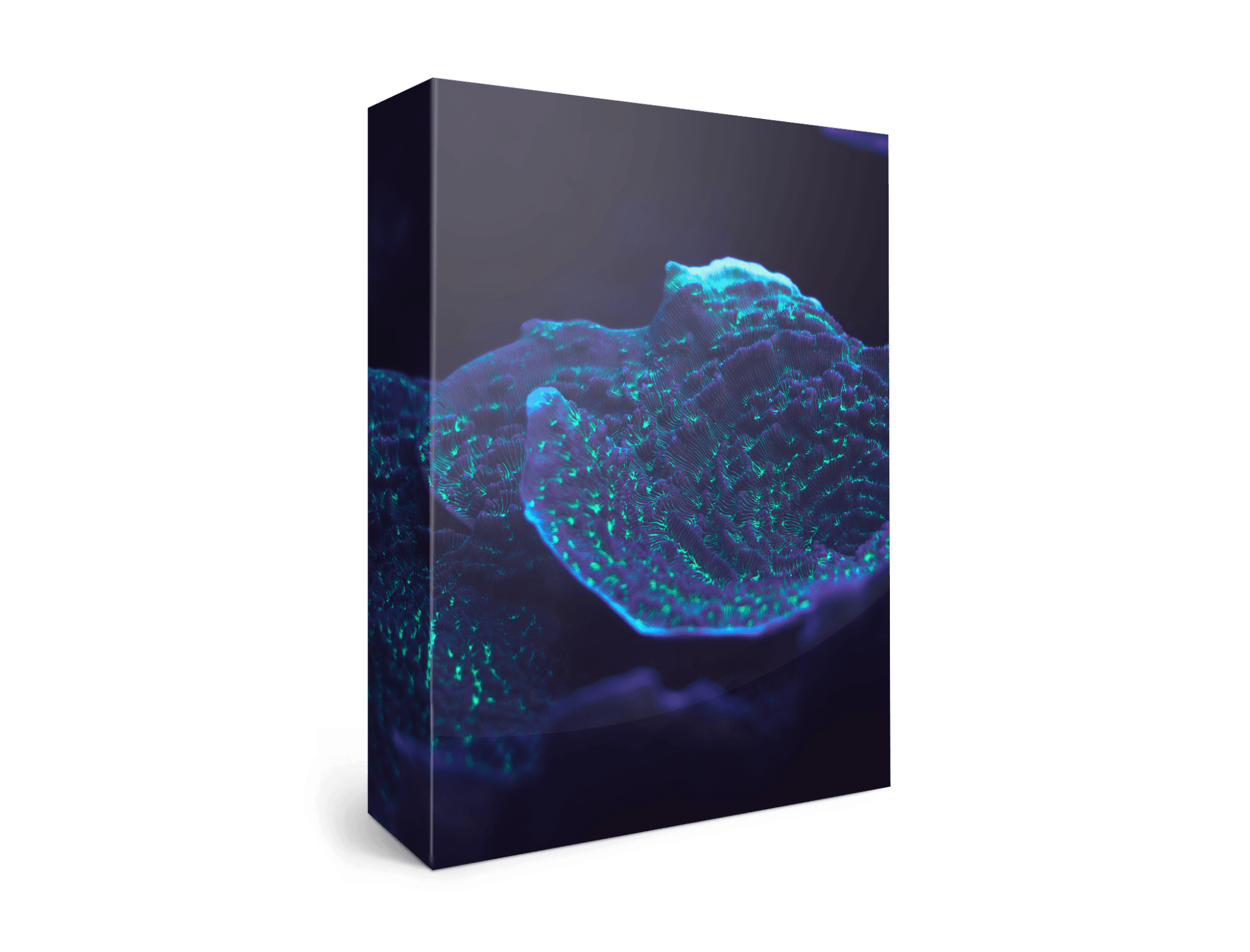 Psychedelic Complete Collection - Guitars, Basses, Drums, Synths.