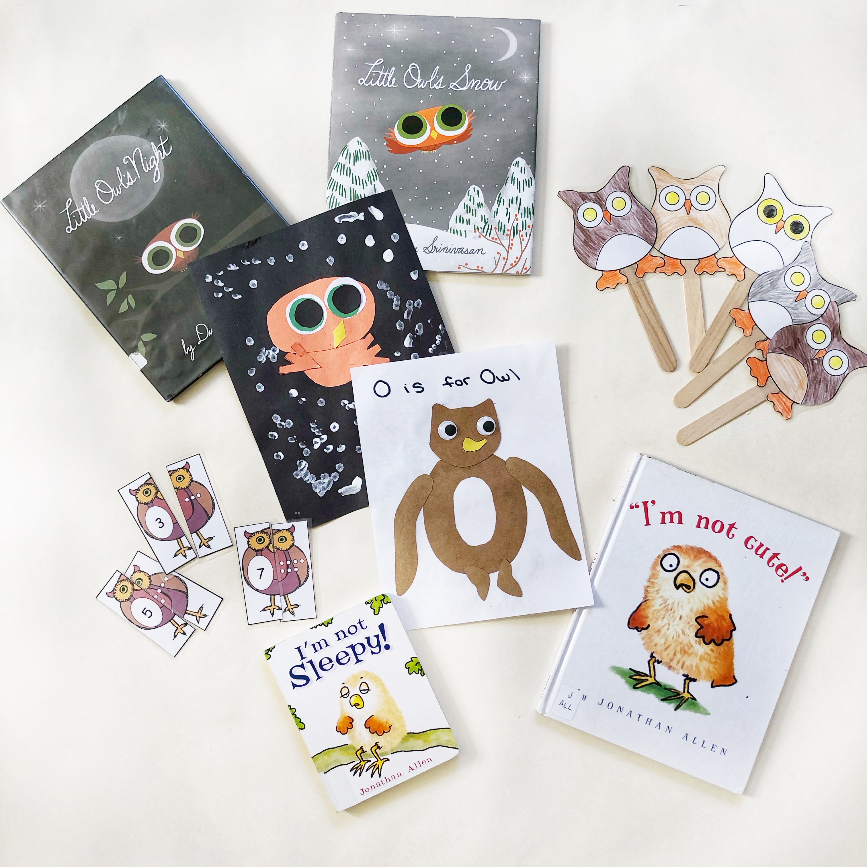 O is for Owl Lesson - Because My Mother Read