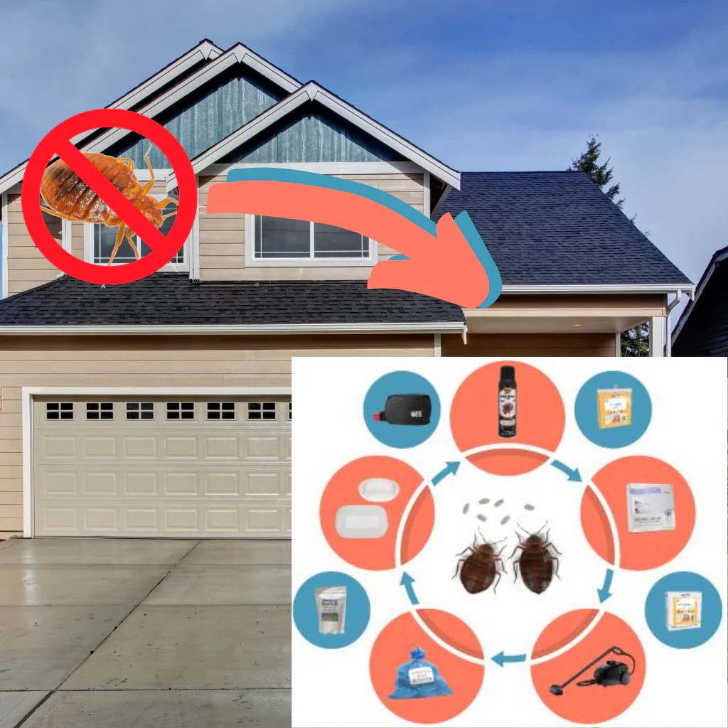 Control Bed Bugs Using Integrated Pest Management Ipm Bed Bug Sos