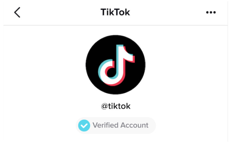 How To Get Verified Badge On Tiktok In 2020 Beebom