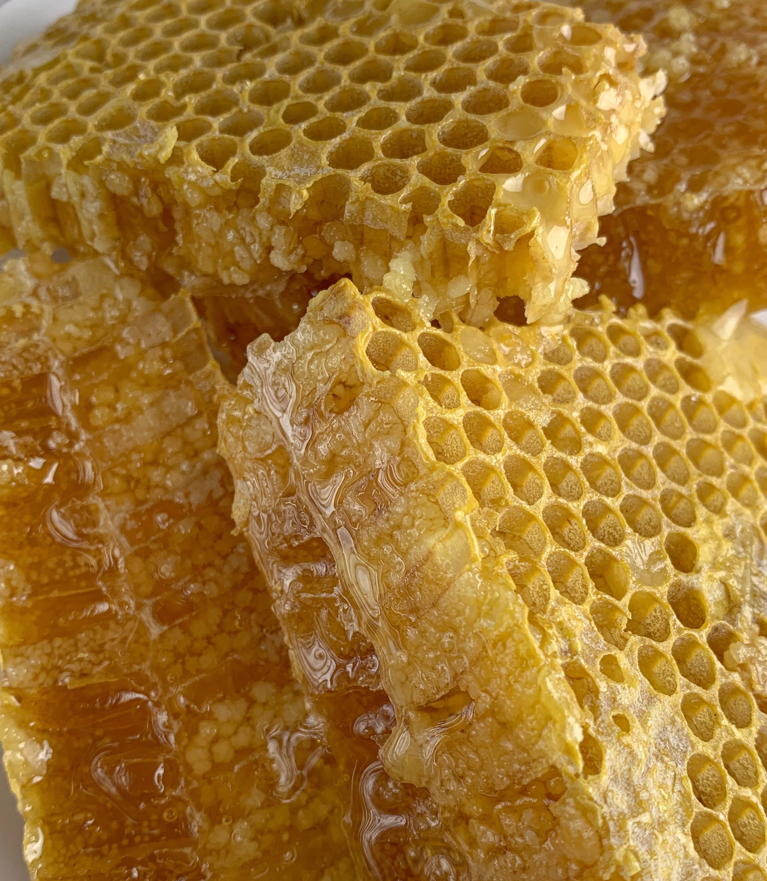 How To Harvest Honey Beebuilt