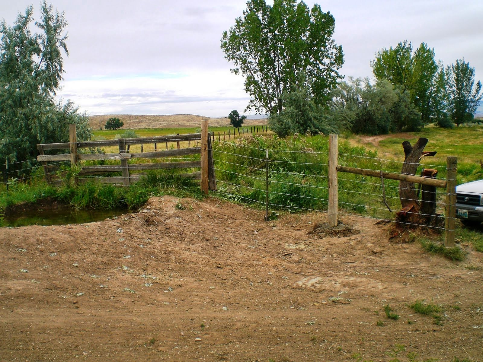 Pasture Fencing | Agriculture 101 – Beef Runner