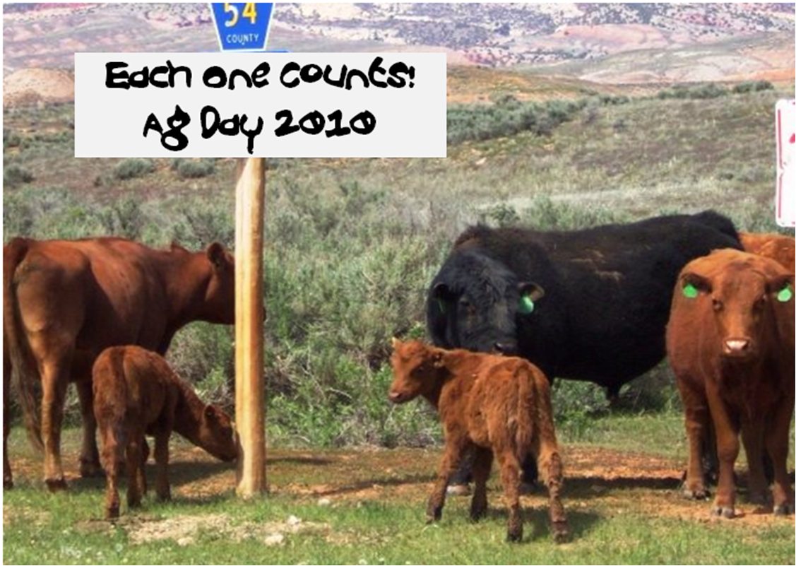 Counting Cattle by the Numbers – Beef Runner