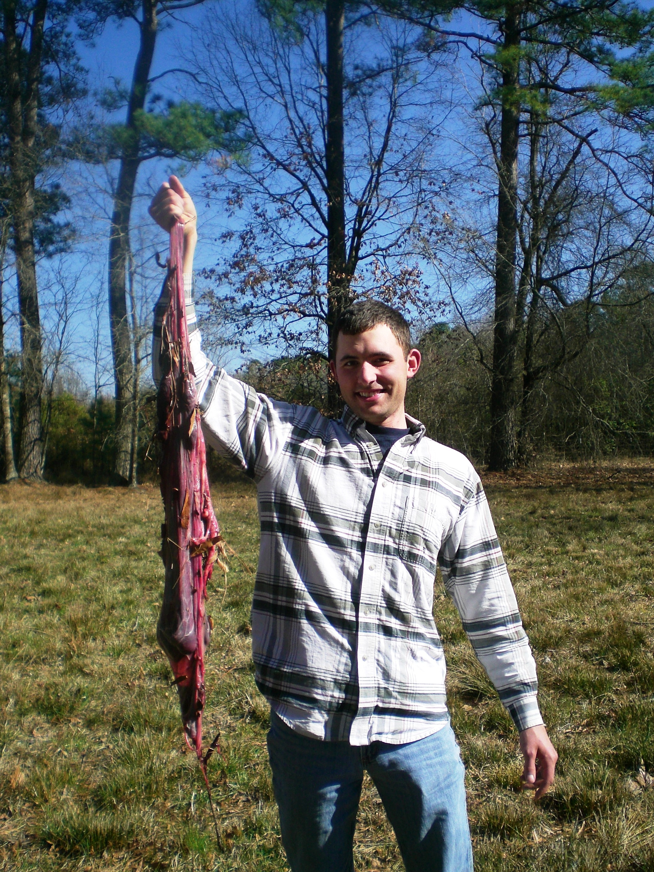 Who Needs Pictures – Beef Runner