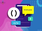 Beejok Quiz Tuples In Python