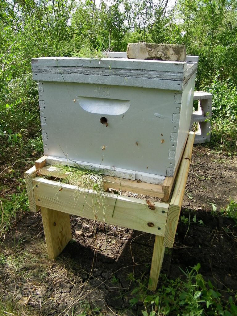 Bee Stand | Gretchen Bee Ranch