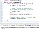 Java Input String To Double