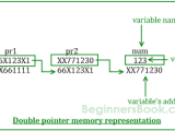 C Pointer To Pointer Double Pointer With Example