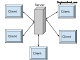 Computer Network Architecture