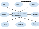 Computer Network Components