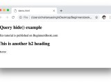 Jquery Effects Show And Hide