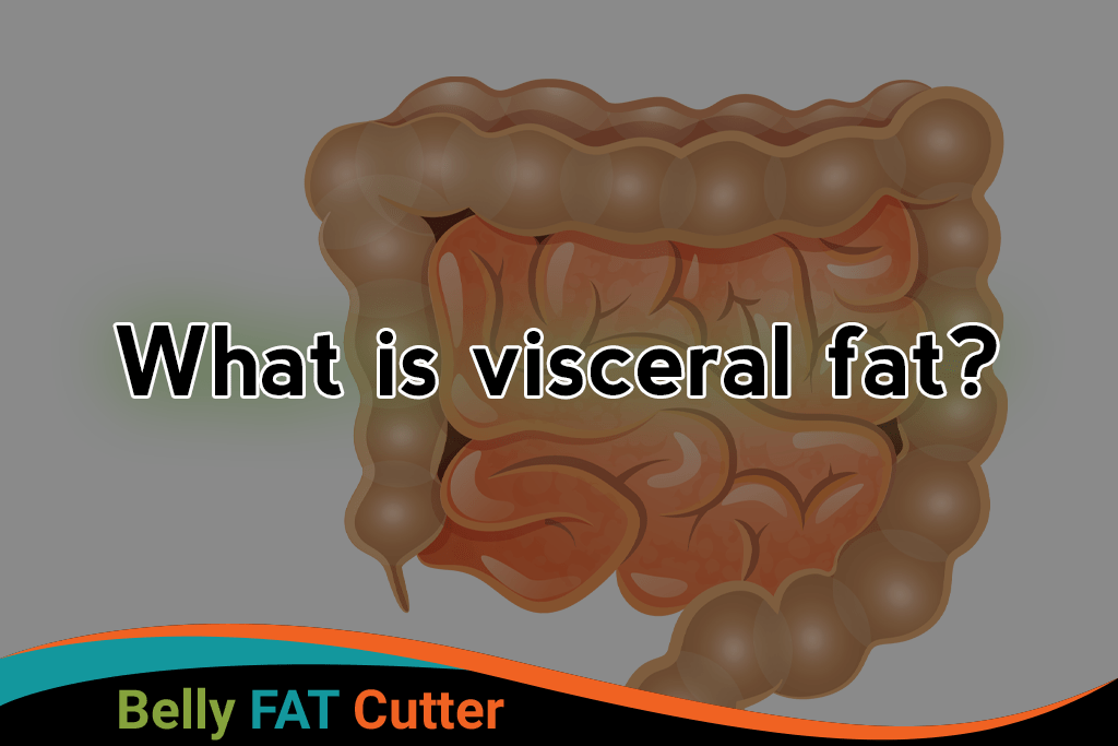 What is visceral fat? How can we eliminate it? - Belly Fat Cutter