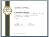 How To Become A Sql Developer Daniel Belovarsky