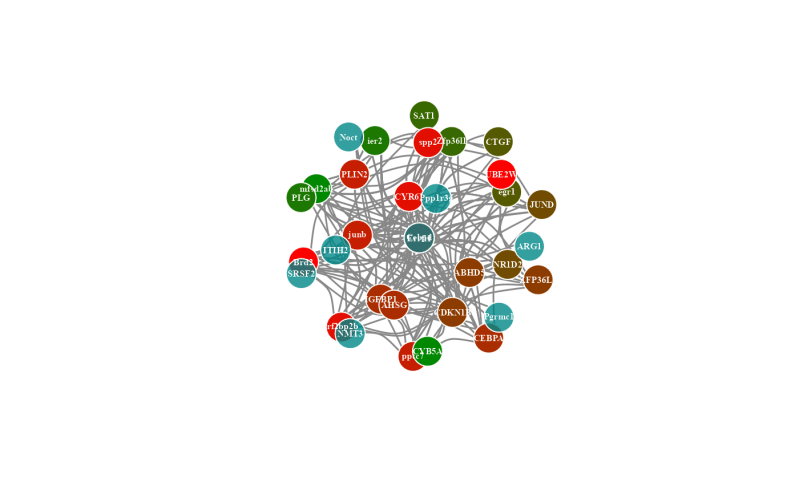Network Plot Pdf - Best Sunset Designs in Full HD